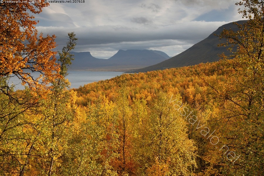 Kuva: Lapporten 5 - Abisko kansallispuisto pohjoiskalotti syksy ruska ...