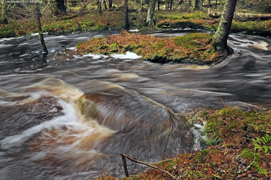 Kuva: Metsäpuro - metsä puro metsäpuro oja vesi virta virtaus tulva ...
