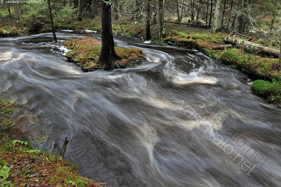Kuva: Metsäpuro - metsä puro metsäpuro oja vesi virta virtaus tulva ...