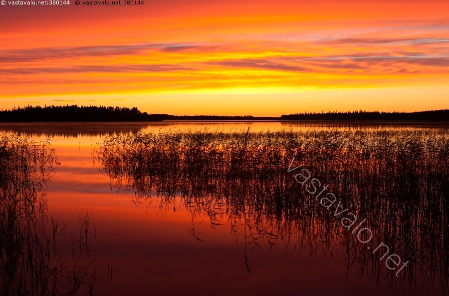 Kuva: Kesäyö järvellä - auringonlasku värikäs oranssi ilta tyyni ...