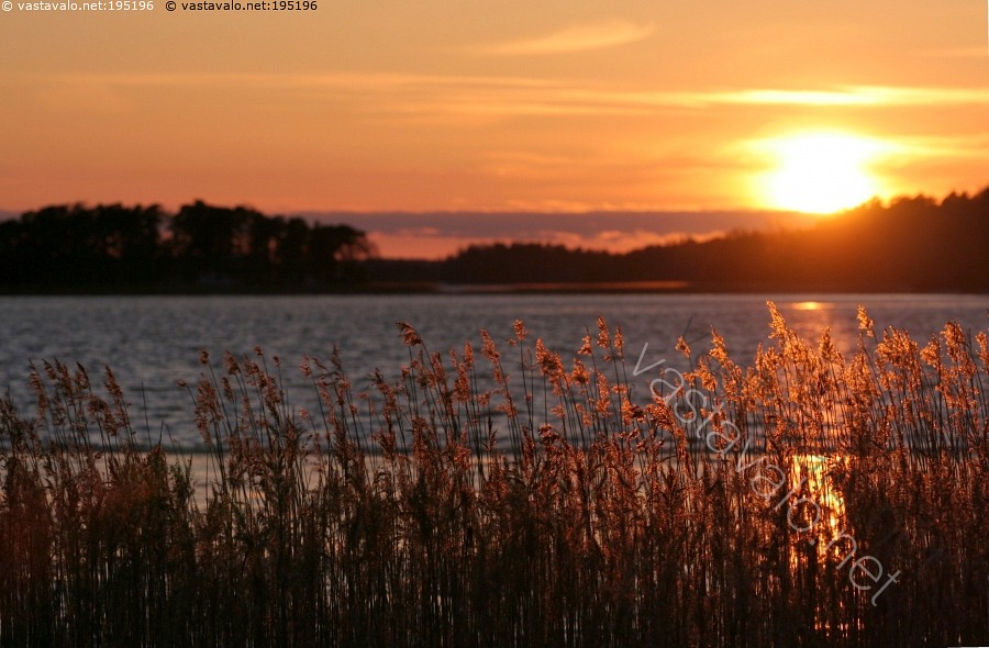 Kuva: Auringonlasku Ruissalossa 2 - auringonlasku aurinko heijastus ...