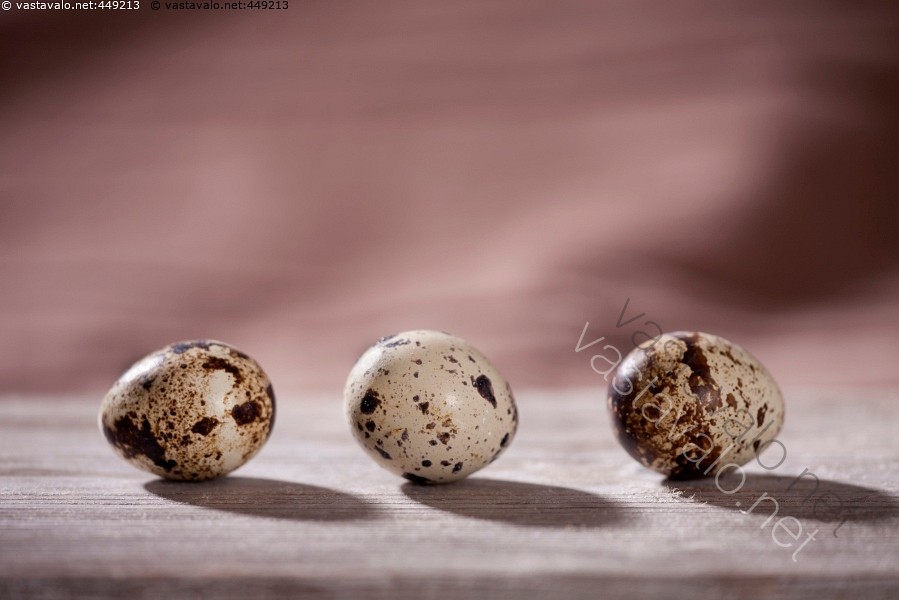 Kuva: Kolme viiriäisen munaa - viiriäisen muna viiriäinen Coturnix ...