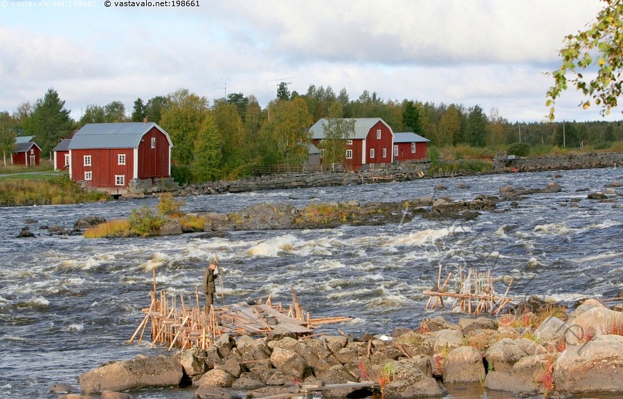 Kuva: Kukkolan koski, Tornionjoki 2 - Pohjois-Suomi Tornio Tornionjoki ...