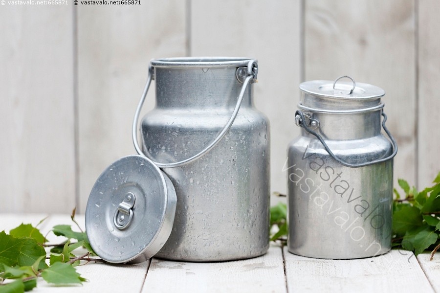 Kuva: Kaksi maitopänikkää - maito valkoinen juoma lehmänmaito pänikkä ...