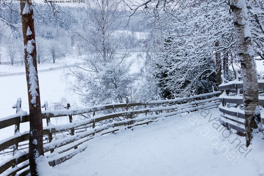Kuva: Talvinen maalaismaisema - talvi lumi Kuralan kylämäki museoalue ...