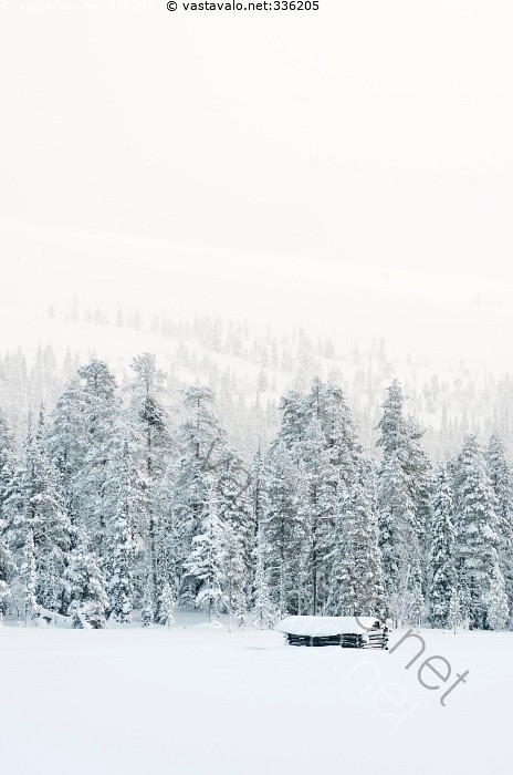 Kuva: Talvimaisema Lapista - Lappi talvi talvimaisema lumi luminen lato ...