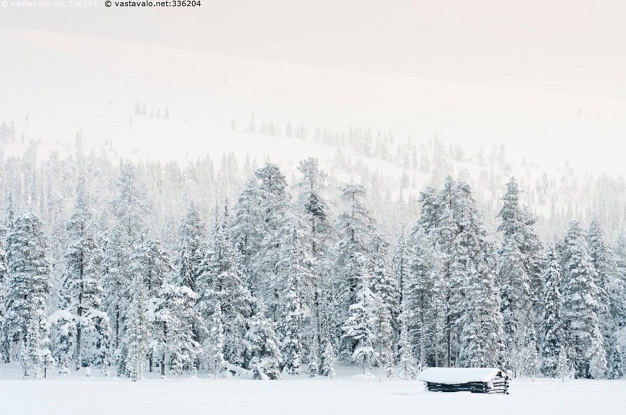 Kuva: Talvimaisema Lapista - Lappi talvi talvimaisema lumi luminen lato ...