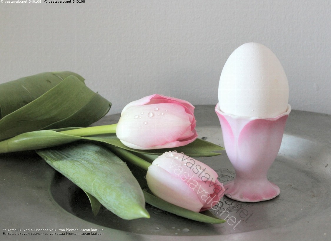 Kuva: Tulppaanin muotoa - kukka leikkokukka leikkotulppaani tulppaani ...