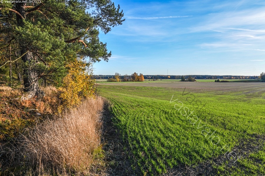 Kuva: Maaseutua syksyllä - pelto peltomaisema maalaismaisema maisema ...