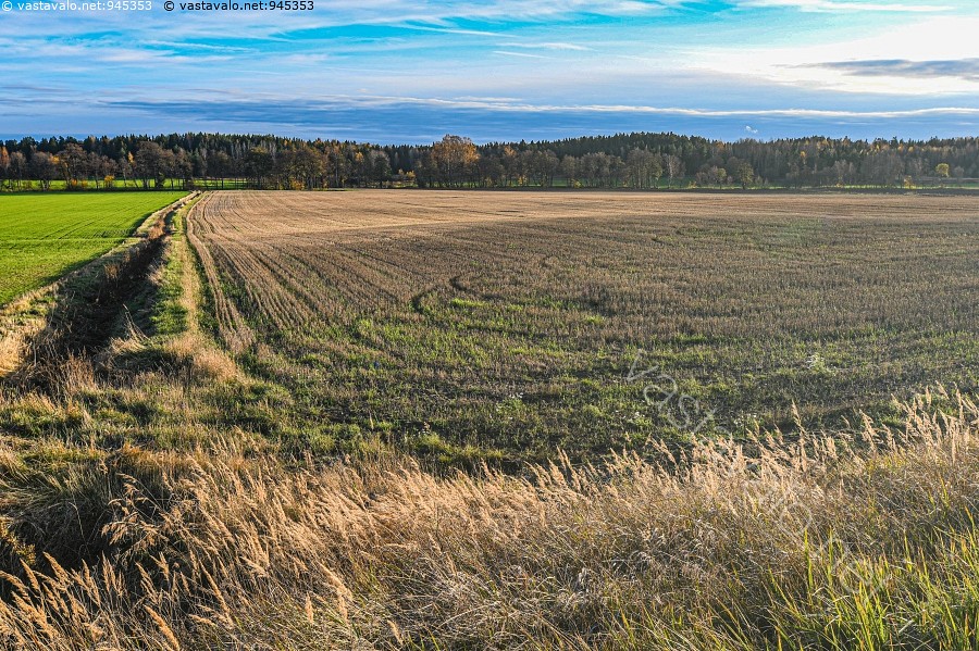 Kuva: Syksyinen peltomaisema - pelto pellot sänkipelto alava maa oja ...