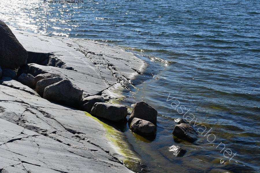 Galleria: Kesäisiä rantakallioita