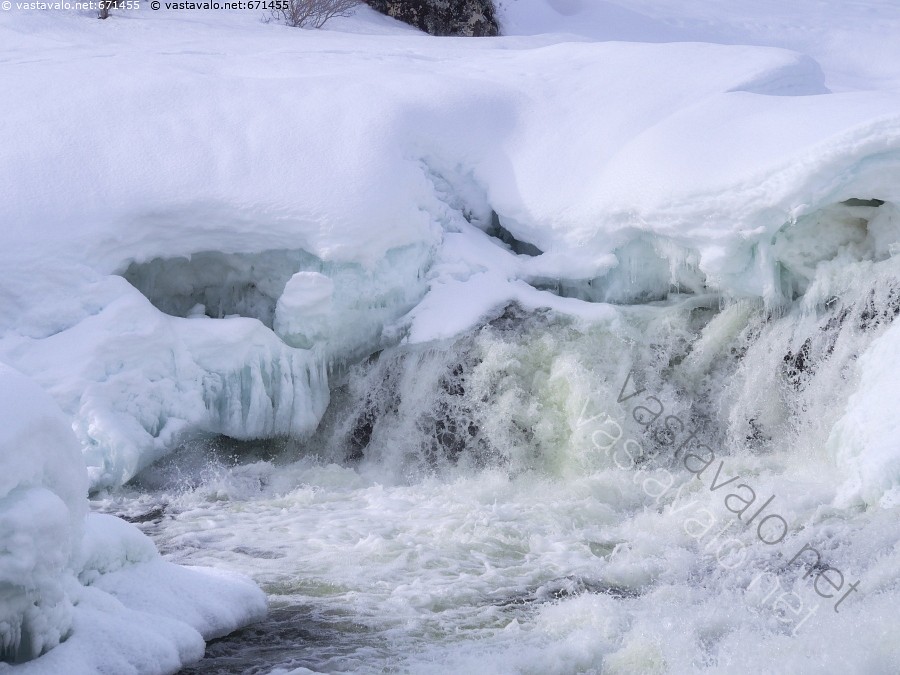 Kuva: Talvinen koski - koski jää vaahto vesi kevät Näätämö Neiden joki ...
