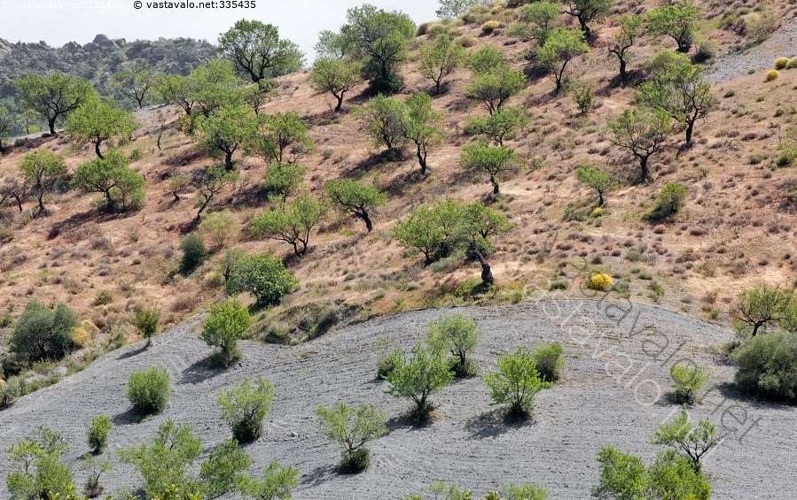 Kuva: Espanjan maaseutu - Espanja maaseutu maisema maaseutumaisema ...