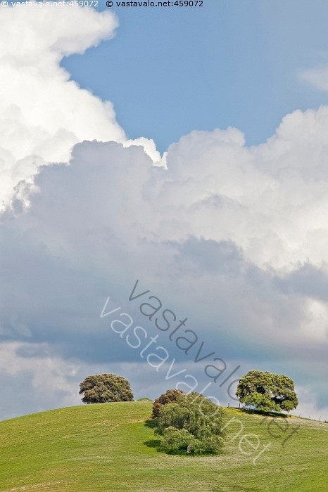 Kuva: Puut mäellä - Espanja maaseutu espanjalainen maisema Andalusia ...