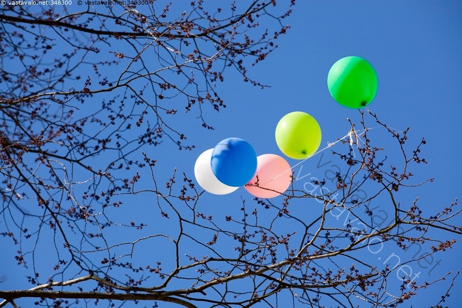 Kuva: Karanneet pallot - vappu ilmapallot vappupallot karanneet pallot ...