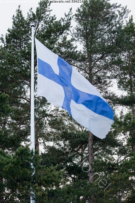 Kuva: Lippu liehuu - Suomen lippu kansallislippu siniristilippu liputus ...