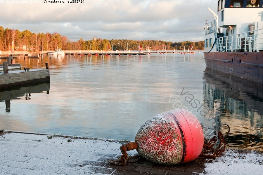 Kuva: Poiju rannalla - punainen poiju merirokko Amphibalanus improvisus ...