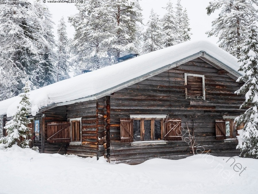 Kuva: Talo metsässä - vanha rakennus talo hirsitalo hirsirakennus ...