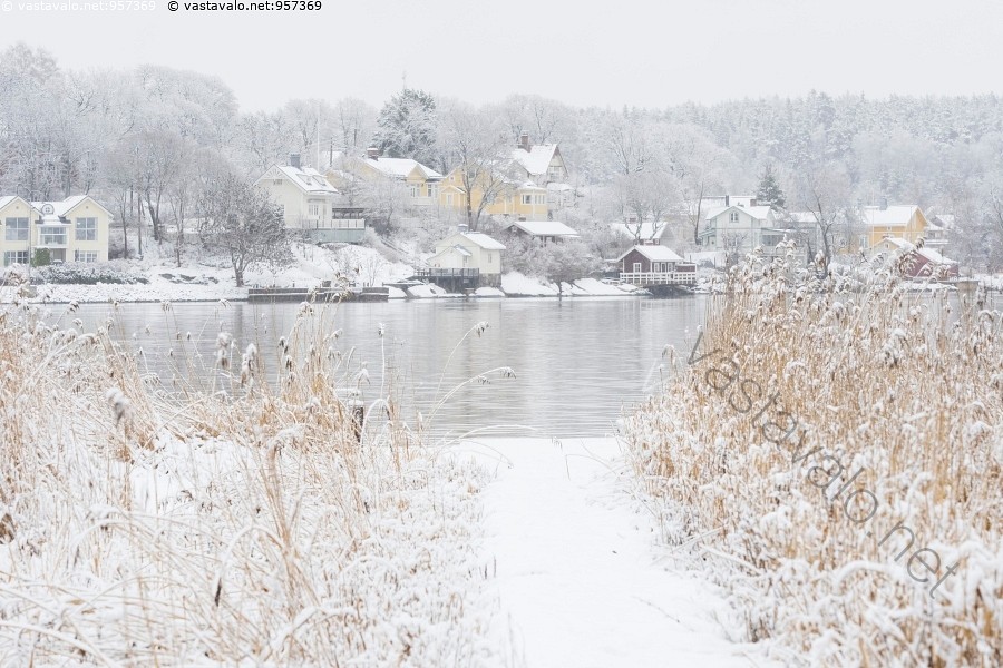 Kuva: Pikisaari - Hirvensalo rakennukset talot omakotitalot asuminen ...