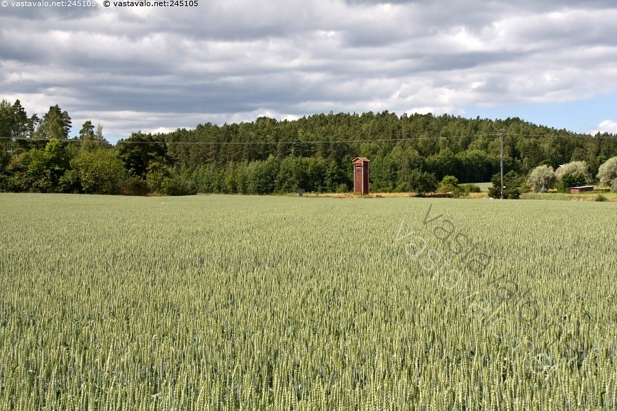 Kuva: Kun kehitys kehittyi - vanhat rakennukset puurakennukset vanha ...