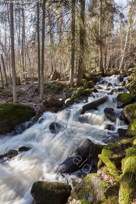 Kuva: Risslan putoukset - keväinen koski Fiskari Fiskars Raasepori ...
