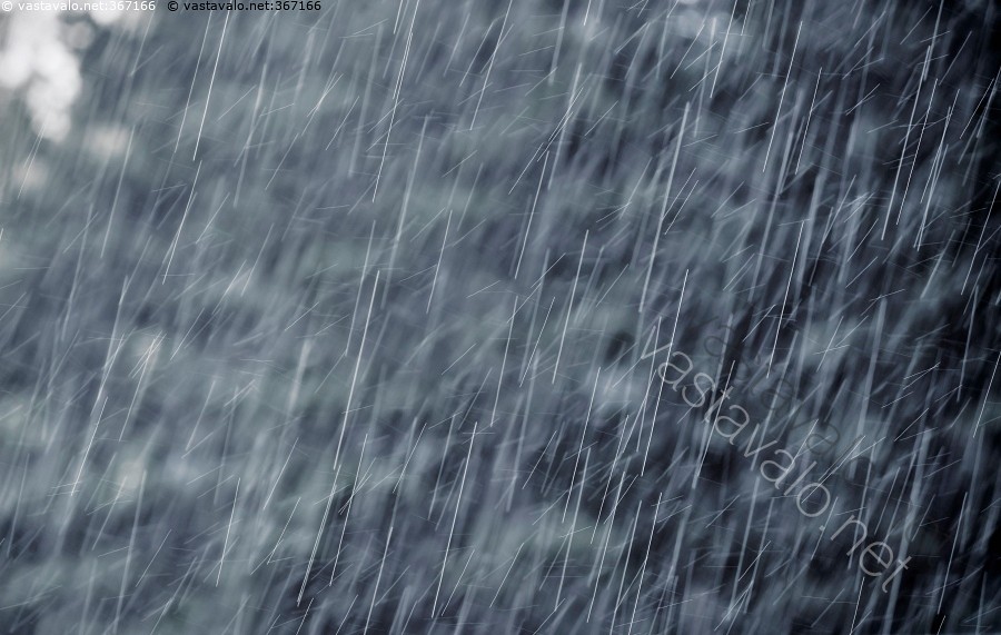 Kuva: Sade - sade vesisade vesi vettä sataa pisarat pisara liike ...