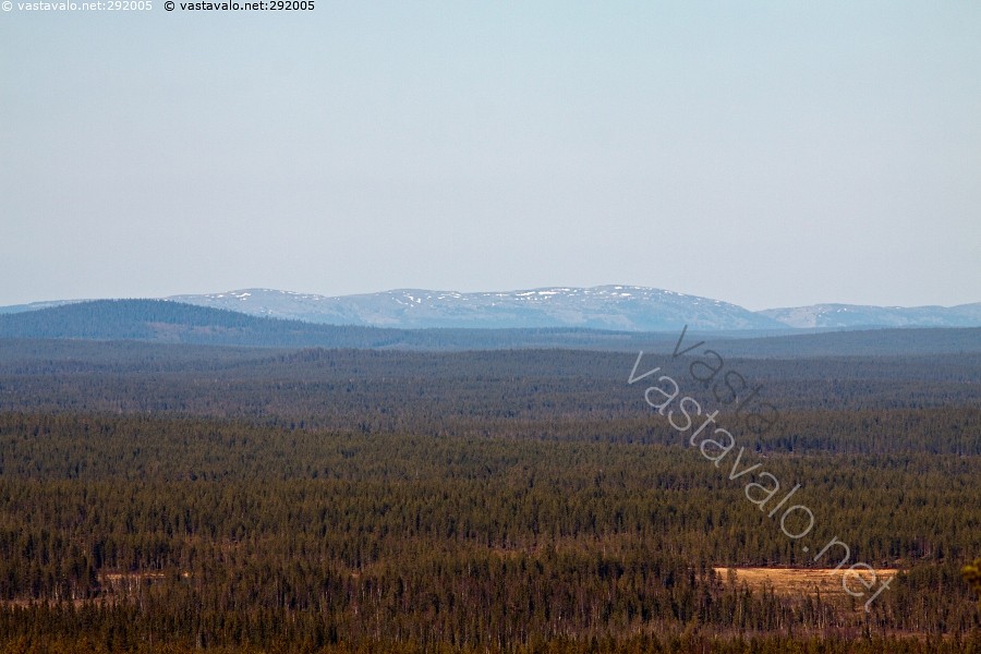 Kuva: Vaaran päällä - vaara tunturi puusto jänkä Lappi kevät maisema ...
