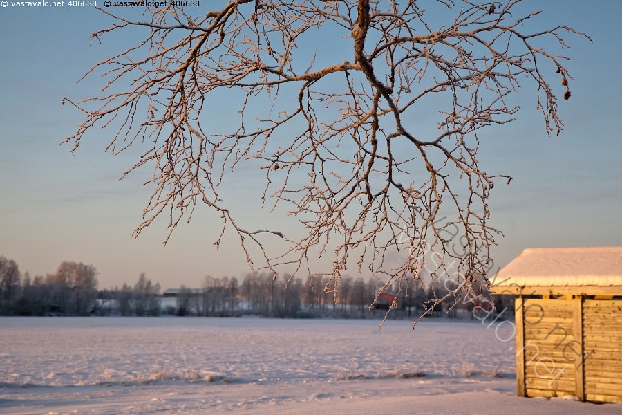 Kuva: Talvipäivän valo - talvi talvinen joulukuu talvipäivän tasaus ...