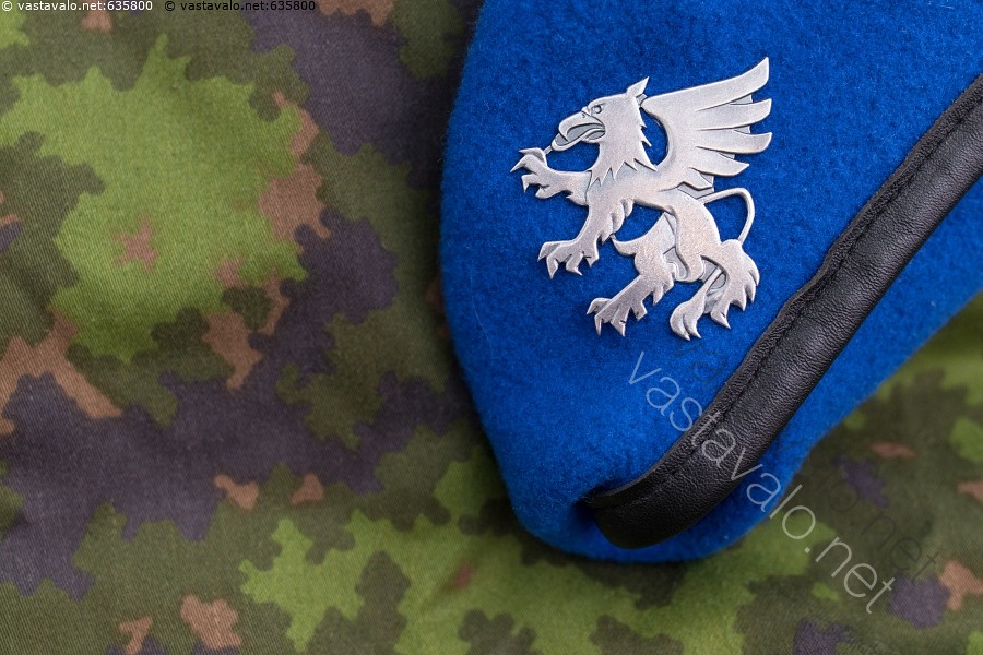 Kuva: Aarnikotka barettimerkki - aarnikotka baretti barettimerkki ...