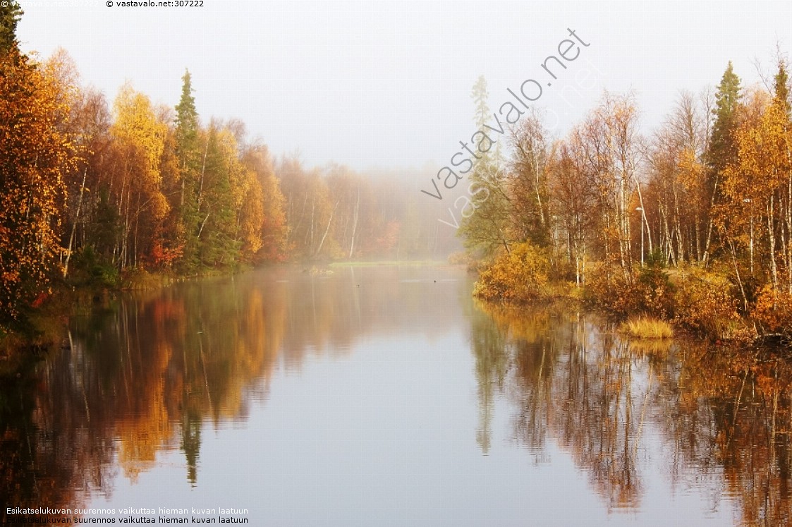 Kuva: Ruska - ruska ruskamaisema ruska-aika ruskaa syksy syksyllä ...