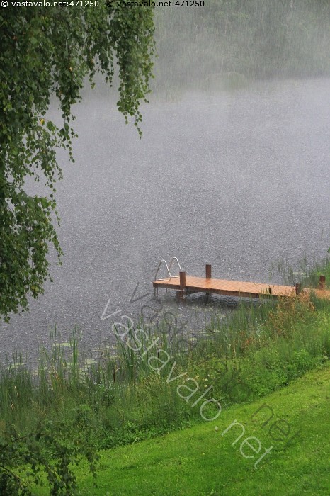 Kuva: Sade - sade vesi pisarat sadepisarat joki laituri ranta koivu ...