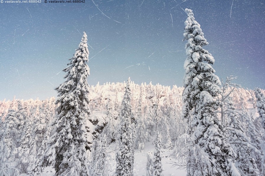 Kuva: Talviset puut - talvi maisema talvinen lumi lunta lumessa ...