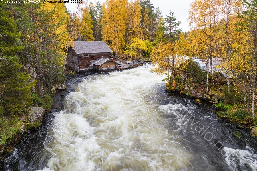 Kuva: Myllykoski - Kitkajoki Kuusamo Myllykoski koski kuohu kuohut ...