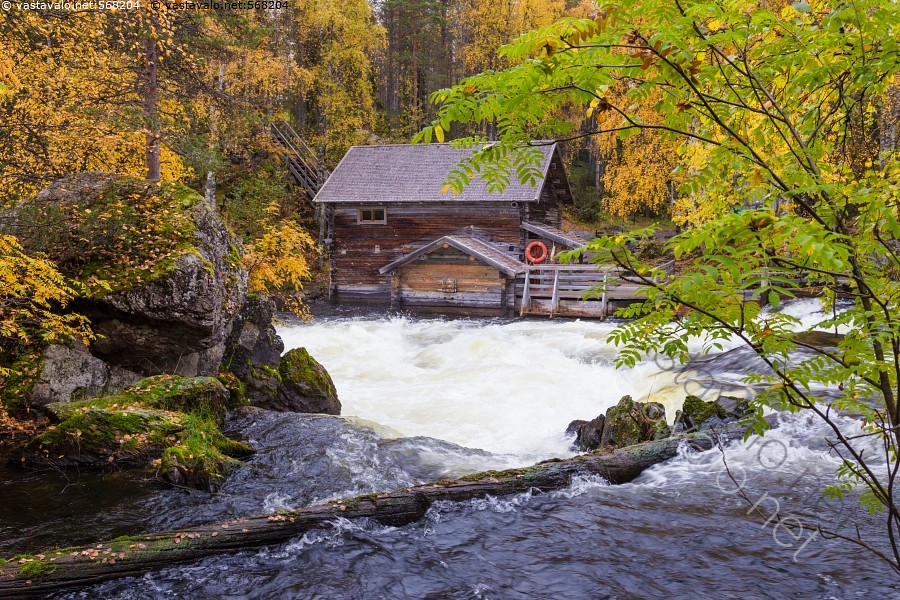 Kuva: Myllykosken mylly - Kitkajoki Kuusamo Myllykoski koski kuohu ...