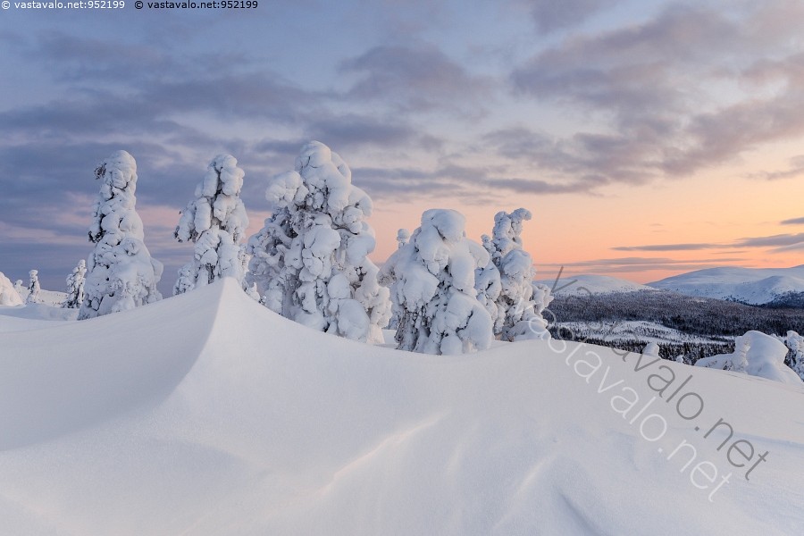 Kuva: Iltapäivä tunturissa - Kolari Kukastunturi Lappi Pallas ...