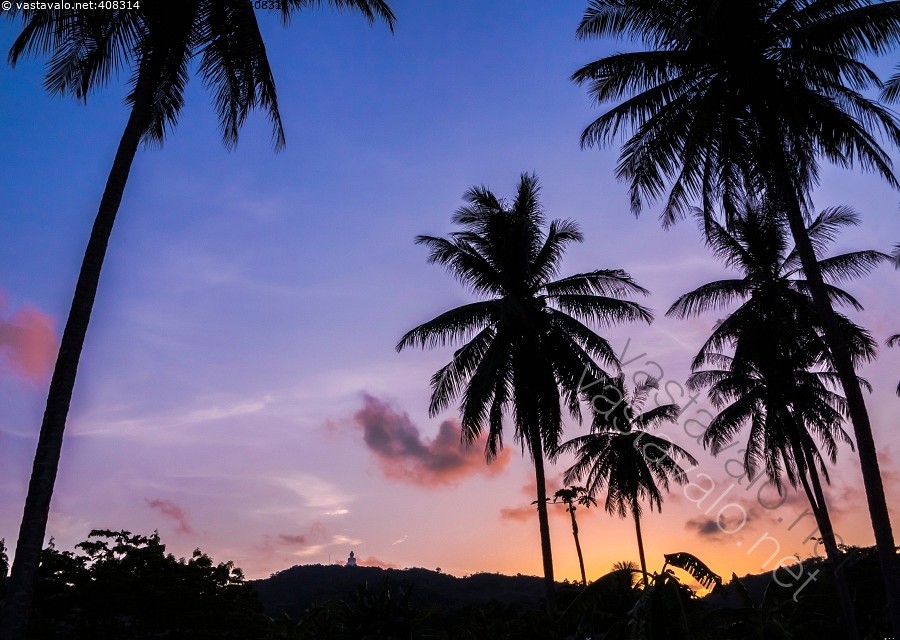 Kuva: Illan palmut - palmu palmut ilta auringonlasku tropiikki puu puut ...