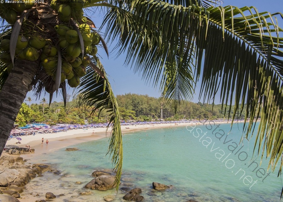 Kuva: Rannalla - ranta uimaranta hiekkaranta rantahiekka hiekka palmu ...