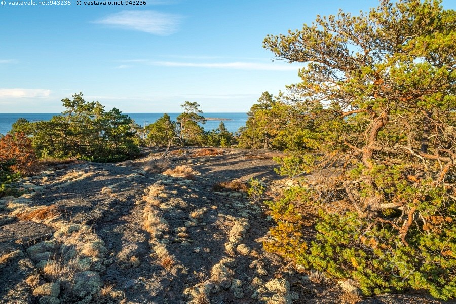 Kuva: Ilta ulapan äärellä - vesi ranta muoto muodot meri kallio ...