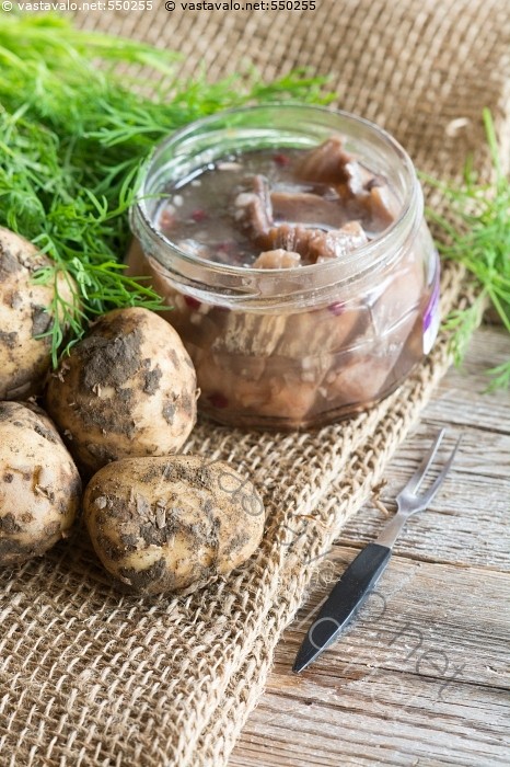 Kuva: Kesäruokaa - peruna perunat uudet uusi sato tilli mauste silli ...