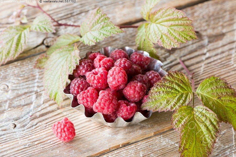 Kuva: Vadelmia - vadelma vadelmat villivadelma villivadelmat vattu ...