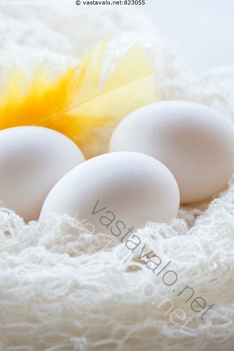 Kuva: Kananmunasommittelua - muna munat kananmuna kananmunat valkoinen ...