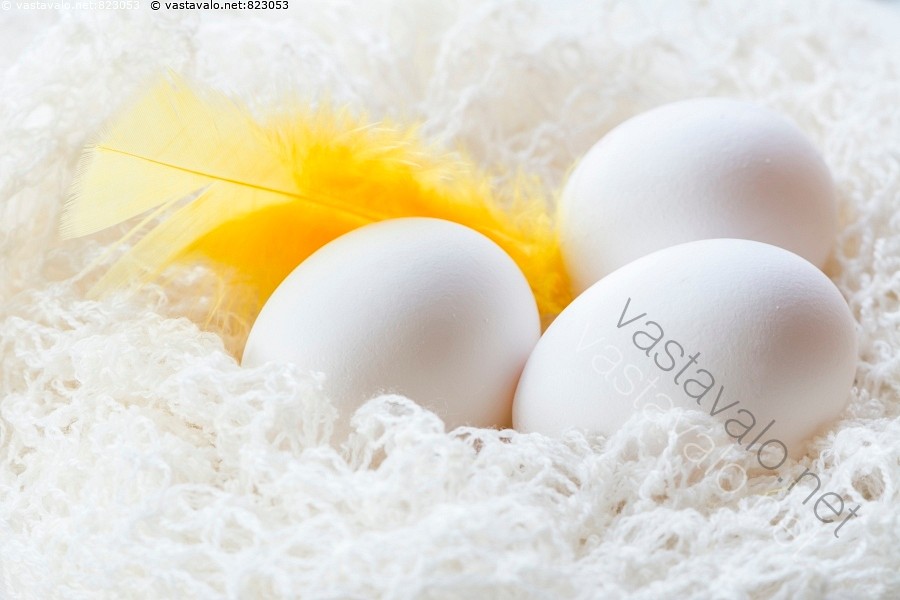 Kuva: Kananmunasommittelua - muna munat kananmuna kananmunat valkoinen ...