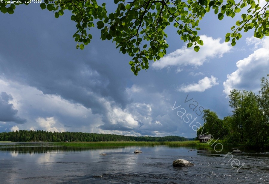Kuva: Kymönkoski - Kymönkoski heinäkuu kaislikko kalastusalue kesä ...