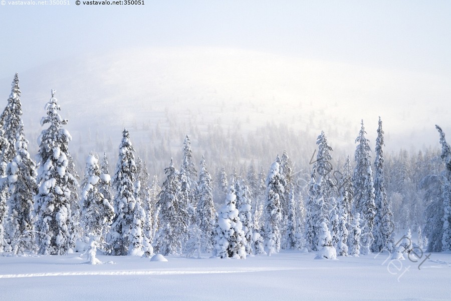 Kuva: Lapin maisema - Lappi tunturi talvi lumi luminen maisema ...