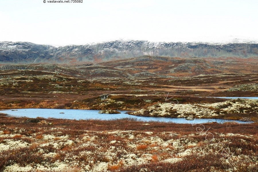 Kuva: Ruska-aika - ruska ruska-aika maaruska syksy syksyinen vuoristo ...