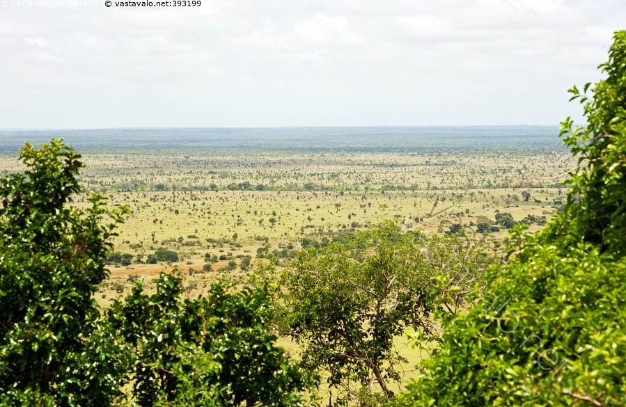 Kuva: Savannia silmänkantamattomiin - avoin laaja hedelmällinen savanni ...