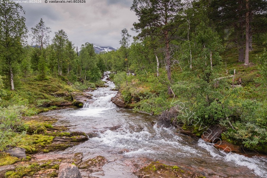 Kuva: Koski - joki kesä kivet koski kuohut luonto maisema metsä ...