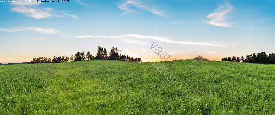 Kuva: Aurinko laskee pellolle - pelto ruoho rehu ilta auringonlasku ...