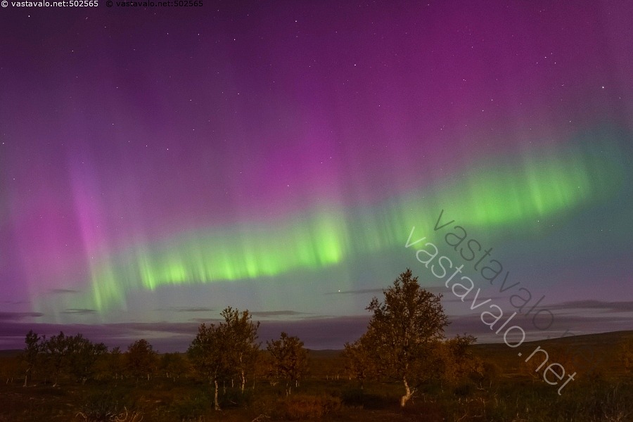Kuva: Revontulet Kevolla - Aurora borealis revontulet revontuli värikäs ...