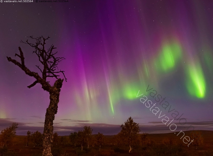 Kuva: Revontulet Kevolla - Aurora borealis revontulet revontuli värikäs ...